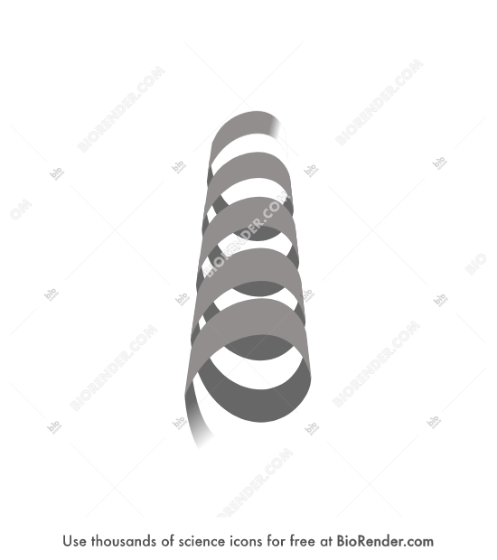 Free Alpha helix 2 Icons, Symbols & Images | BioRender