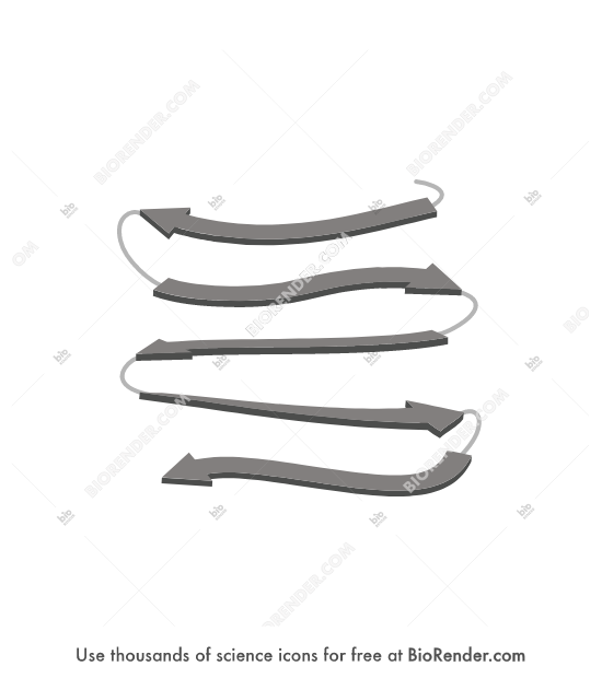 Free Beta sheet 5 Icons, Symbols & Images | BioRender