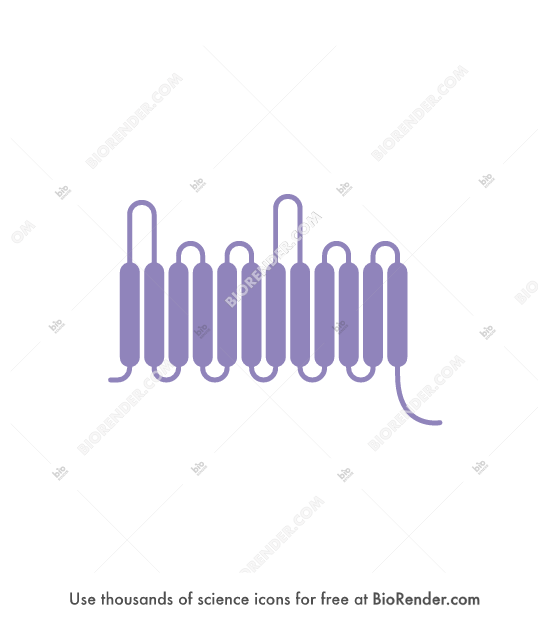 Free PTCH1 Icons, Symbols & Images | BioRender