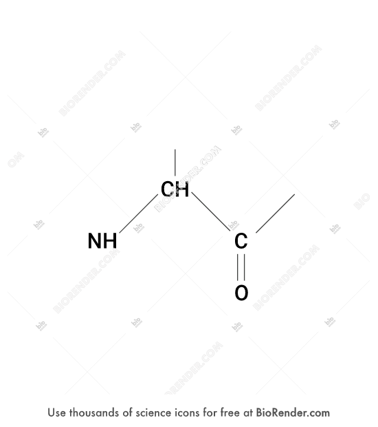Free Polypeptide backbone (middle 1) Icons, Symbols & Images | BioRender