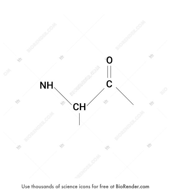 Free Polypeptide backbone (middle 2) Icons, Symbols & Images | BioRender