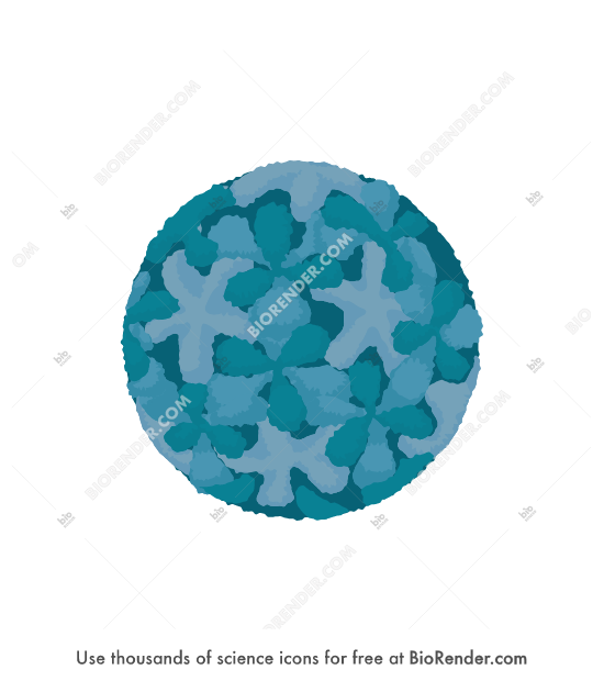 Free Norovirus Icons, Symbols & Images | BioRender