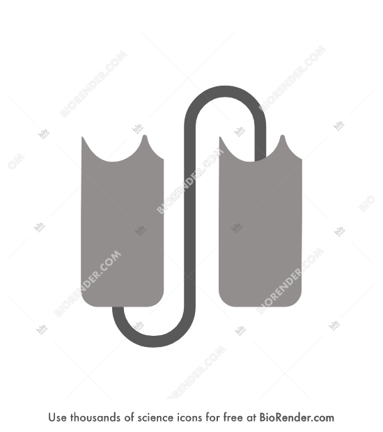 Free Antibody fragment (scFv) Icons, Symbols & Images | BioRender