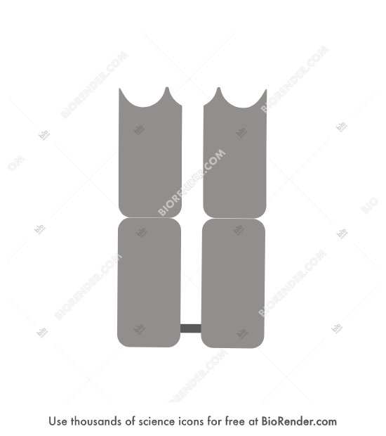 Free Antibody Fragment Fab Icons Symbols And Images Biorender