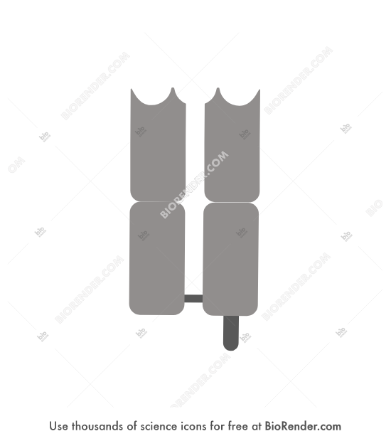 Free Antibody fragment (Fab') Icons, Symbols & Images | BioRender