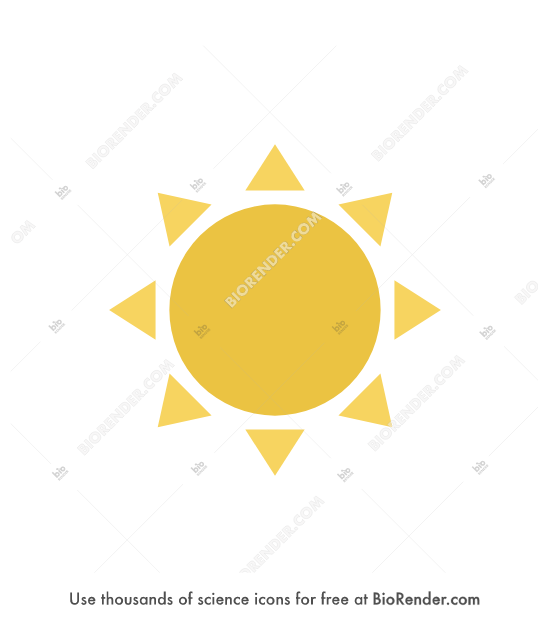 Free Sun Icons, Symbols & Images | BioRender