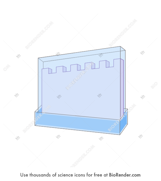 Free Gel electrophoresis Icons, Symbols & Images | BioRender