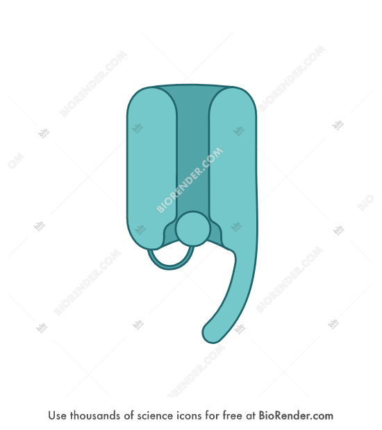 Free Ion channel (voltage-gated, inactive) Icons, Symbols & Images ...