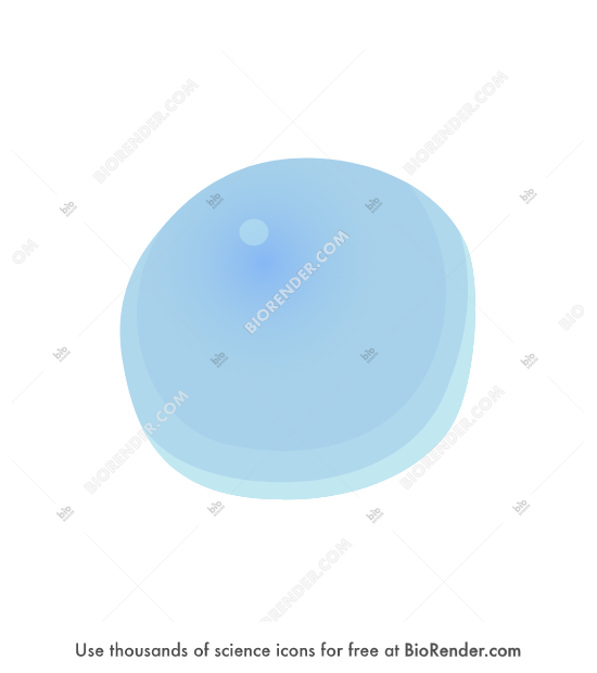 Free Cyst Icons, Symbols & Images | BioRender