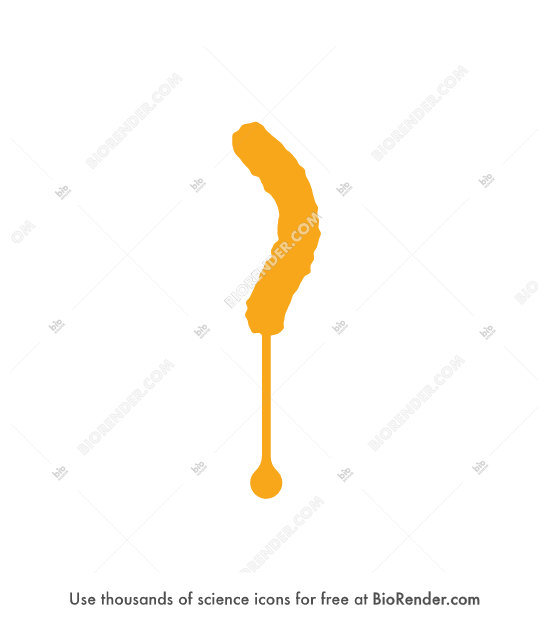 Free Tissue factor Icons, Symbols & Images | BioRender