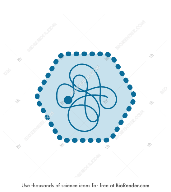 Free Hepatitis A Icons, Symbols & Images | BioRender