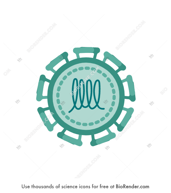 Free Hepatitis C Icons, Symbols & Images | BioRender