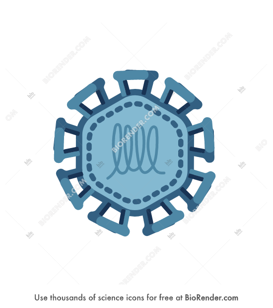 Free Zika virus Icons, Symbols & Images | BioRender