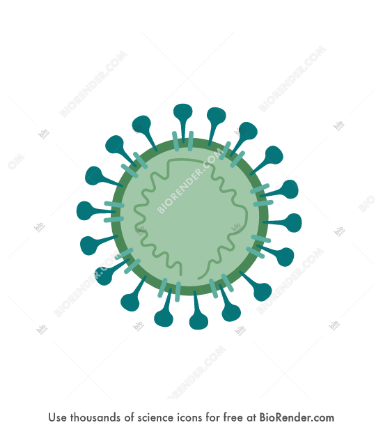 Free SARS Icons, Symbols & Images | BioRender