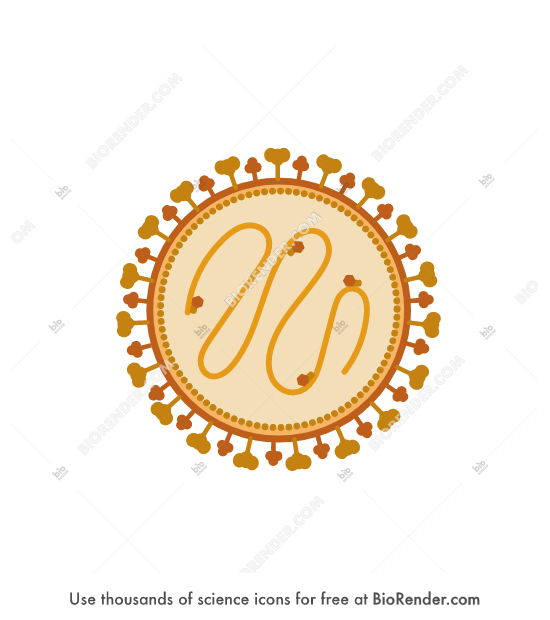 Free Measles Icons, Symbols & Images | BioRender