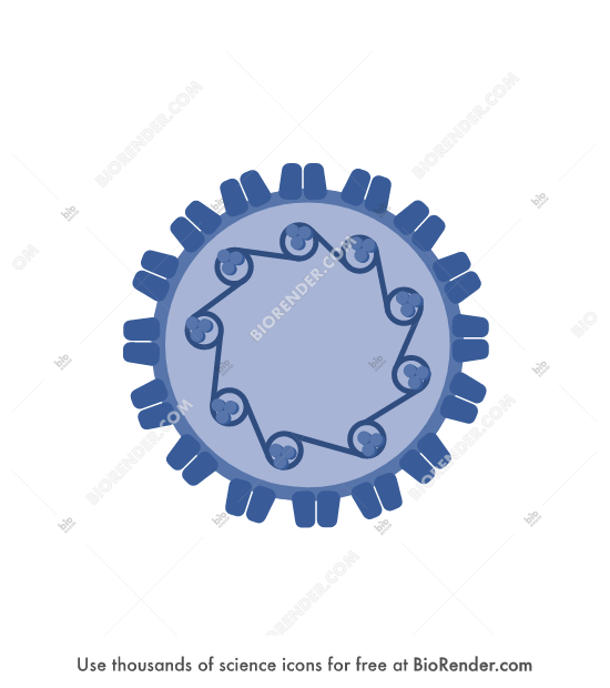 Free Papillomavirus Icons, Symbols & Images | BioRender
