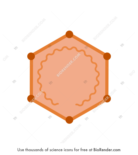 Free Parvovirus Icons, Symbols & Images | BioRender