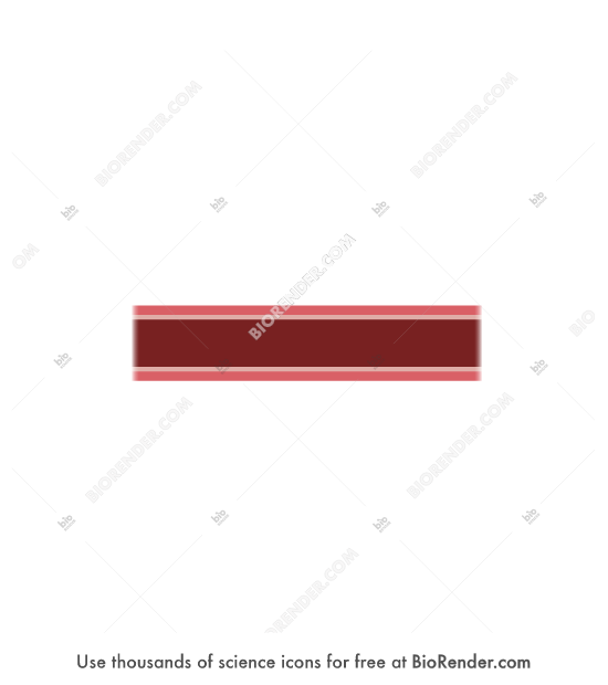 Free Vessel (straight 2) Icons, Symbols & Images | BioRender
