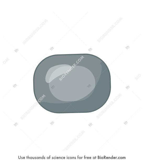 Free Coccidioides (spore) Icons, Symbols & Images | BioRender