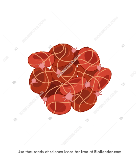 Free Blood clot Icons, Symbols & Images | BioRender