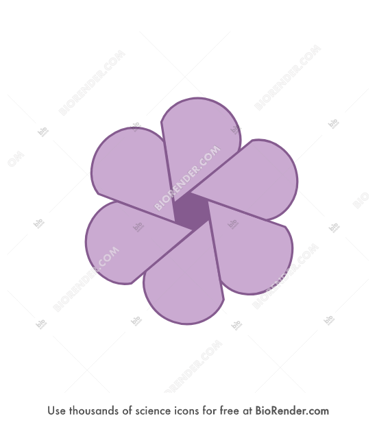 Free Connexon (open) Icons, Symbols & Images | BioRender