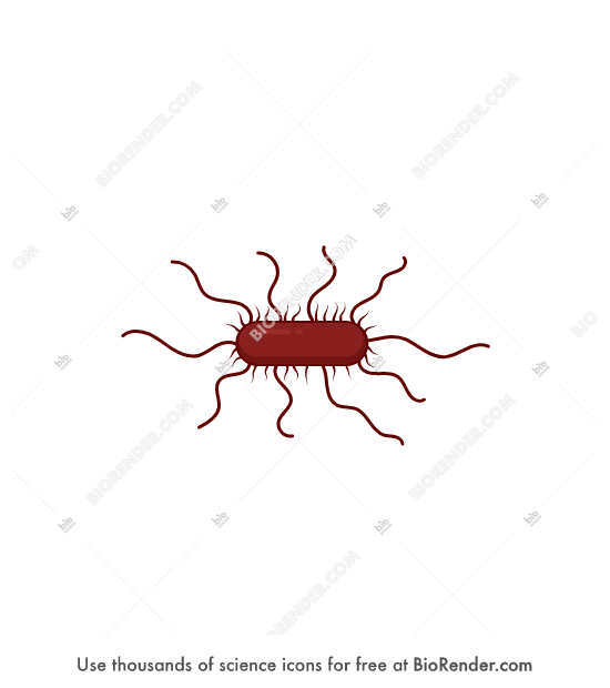 Free Bacillus (peritrichous flagella, pili) Icons, Symbols & Images ...