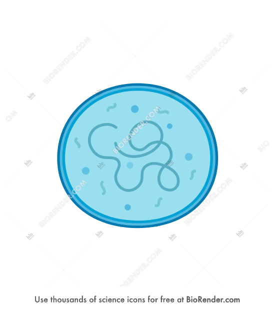 Free Mycoplasma Icons, Symbols & Images | BioRender