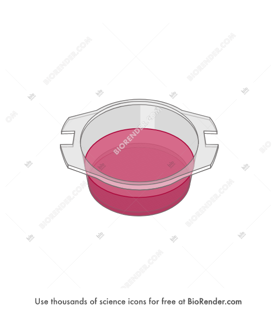 Free Permeable support insert Icons, Symbols & Images | BioRender