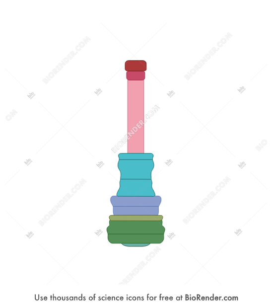 Free Type 3 secretion system Icons, Symbols & Images | BioRender