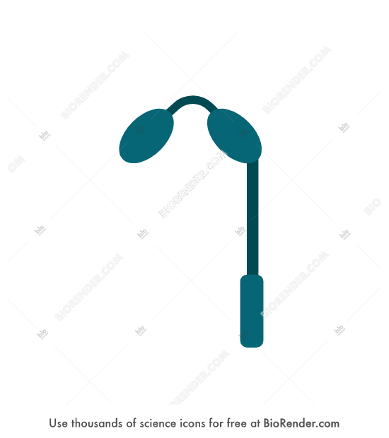 Free Fc receptor (CD32) Icons, Symbols & Images | BioRender