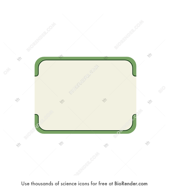Free Plant cell 7 Icons, Symbols & Images | BioRender