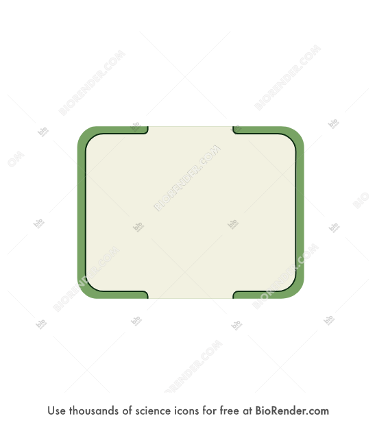 Free Plant cell 9 Icons, Symbols & Images | BioRender