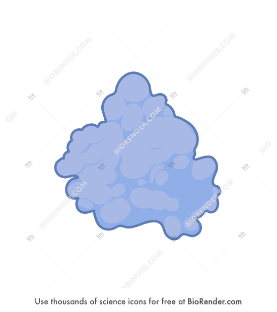 Free Generic protein (blob 1) Icons, Symbols & Images | BioRender