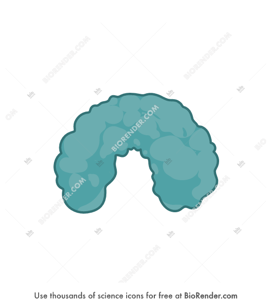 Free Generic protein (arc) Icons, Symbols & Images | BioRender