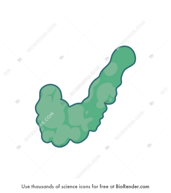 Free Generic protein (hook) Icons, Symbols & Images | BioRender