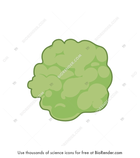 Free Generic protein (ball) Icons, Symbols & Images | BioRender