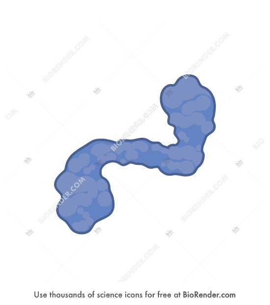 Free Generic protein (S) Icons, Symbols & Images | BioRender