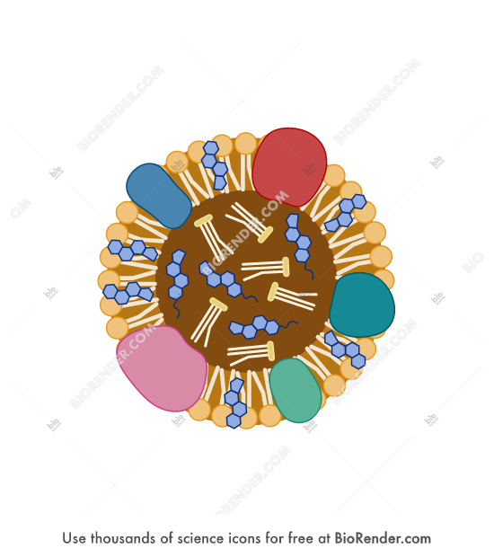 Free Lipoprotein (HDL, cross-section) Icons, Symbols & Images | BioRender