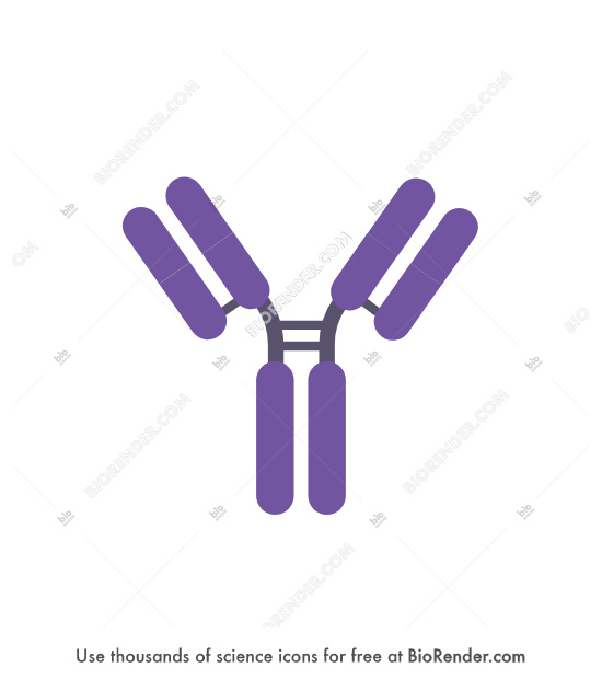 Free Antibody IgG (round style) Icons, Symbols & Images | BioRender