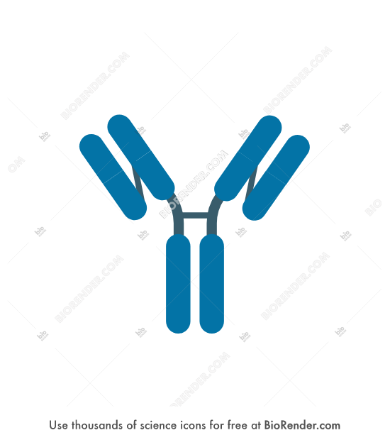 Free Antibody IgD (round style) Icons, Symbols & Images | BioRender