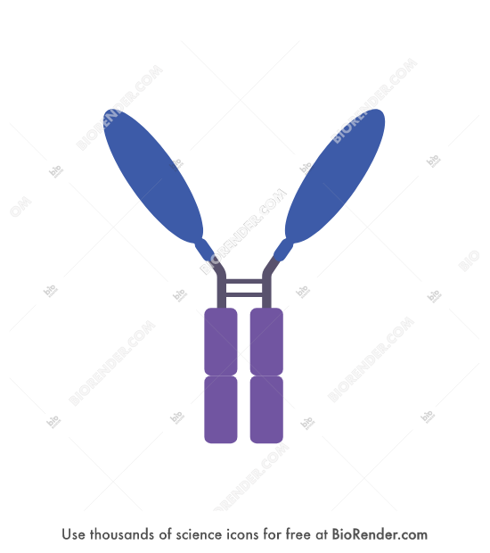 Free Fc fusion protein Icons, Symbols & Images | BioRender