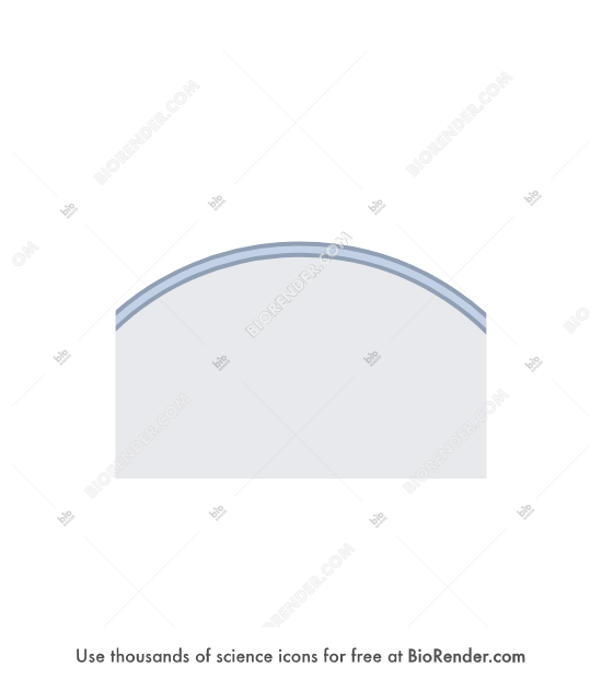 Free Arc membrane (bilayer, filled, landscape) Icons, Symbols & Images ...