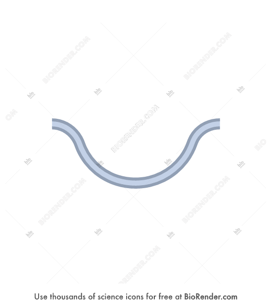 Free Vesicle (large, stage 1) Icons, Symbols & Images | BioRender