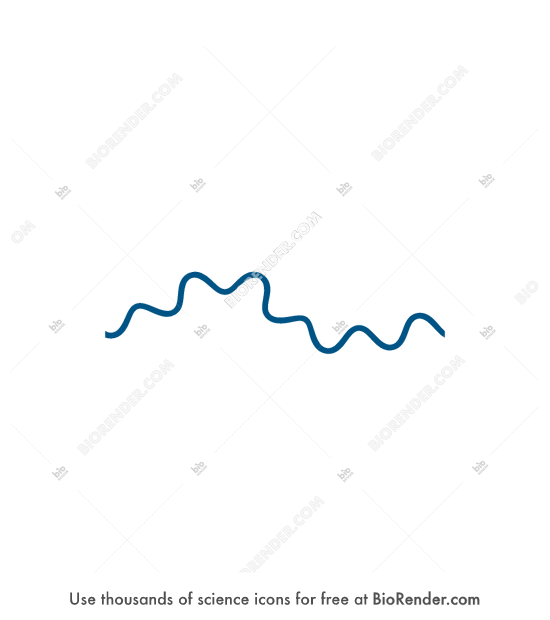 Free ssDNA (2D, squiggle 2) Icons, Symbols & Images | BioRender