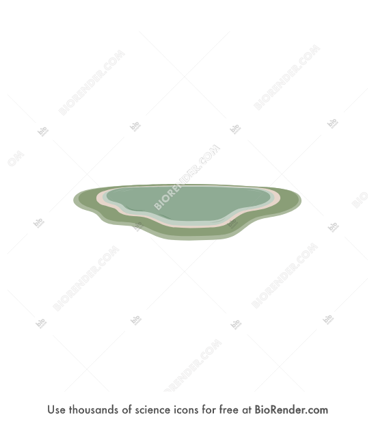 Free Lake (side view, polluted) Icons, Symbols & Images | BioRender