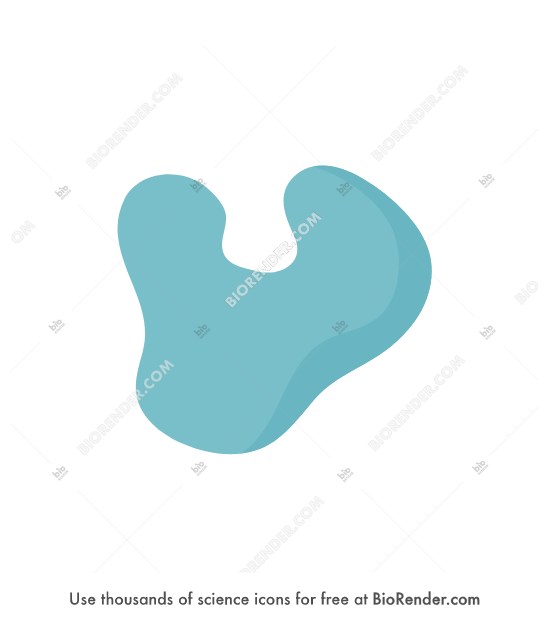 Free Reverse transcriptase Icons, Symbols & Images | BioRender