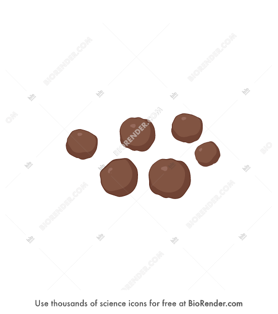 Free Stool (Bristol Scale, type 1) Icons, Symbols & Images | BioRender