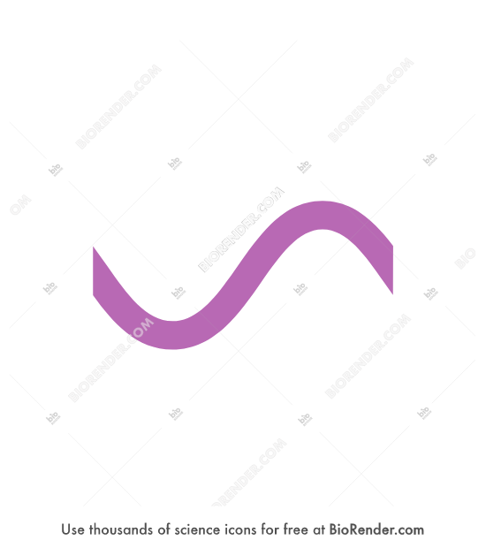 Free RNA (fragment) Icons, Symbols & Images | BioRender