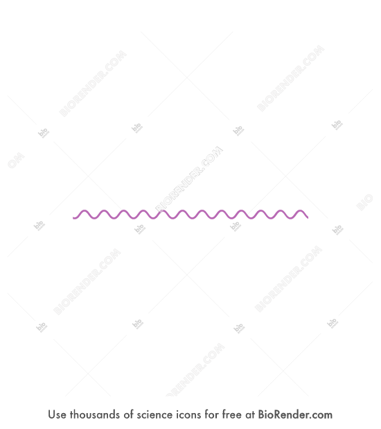 Free RNA (long) Icons, Symbols & Images | BioRender