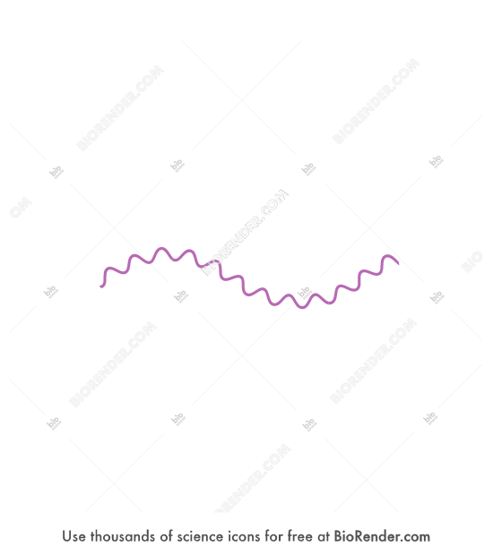 Free RNA (squiggle 1) Icons, Symbols & Images | BioRender